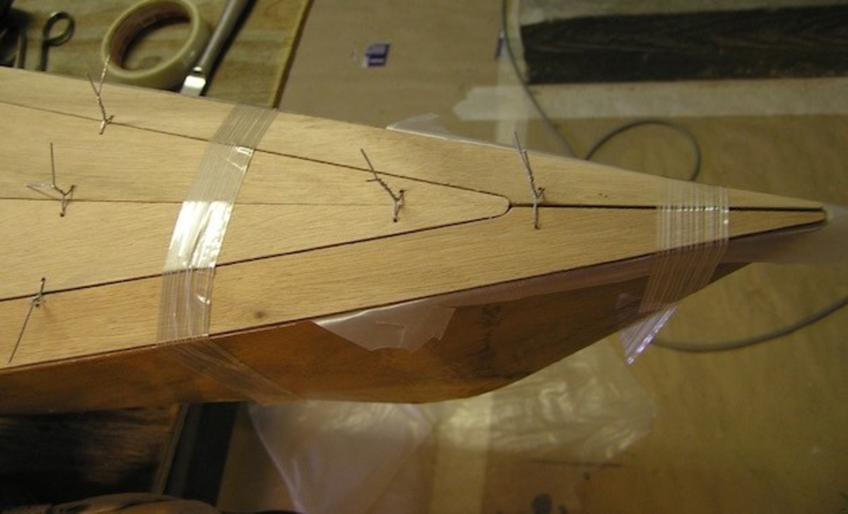 Rides: Bob Bonnen’s Pygmy Arctic Tern 17