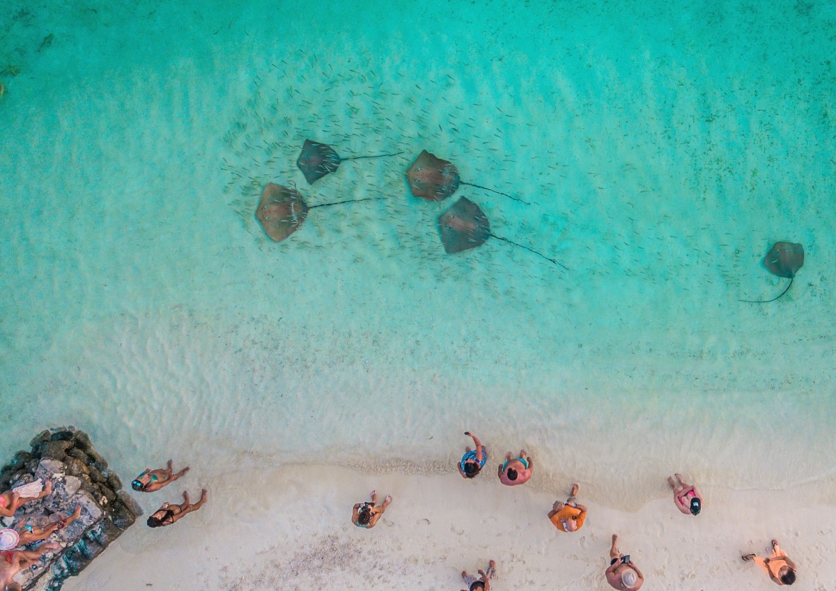 How to Prevent (and Treat) Stingray Stings - Men's Journal