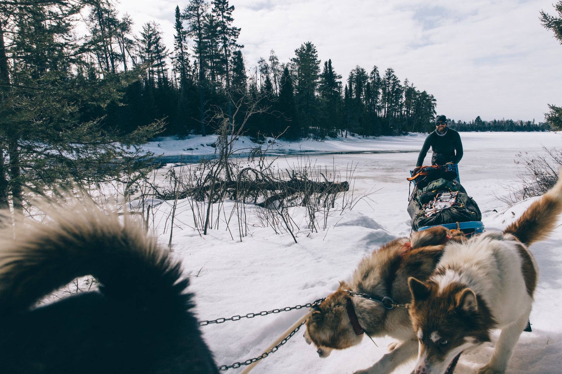Wheel Dog Sled Build