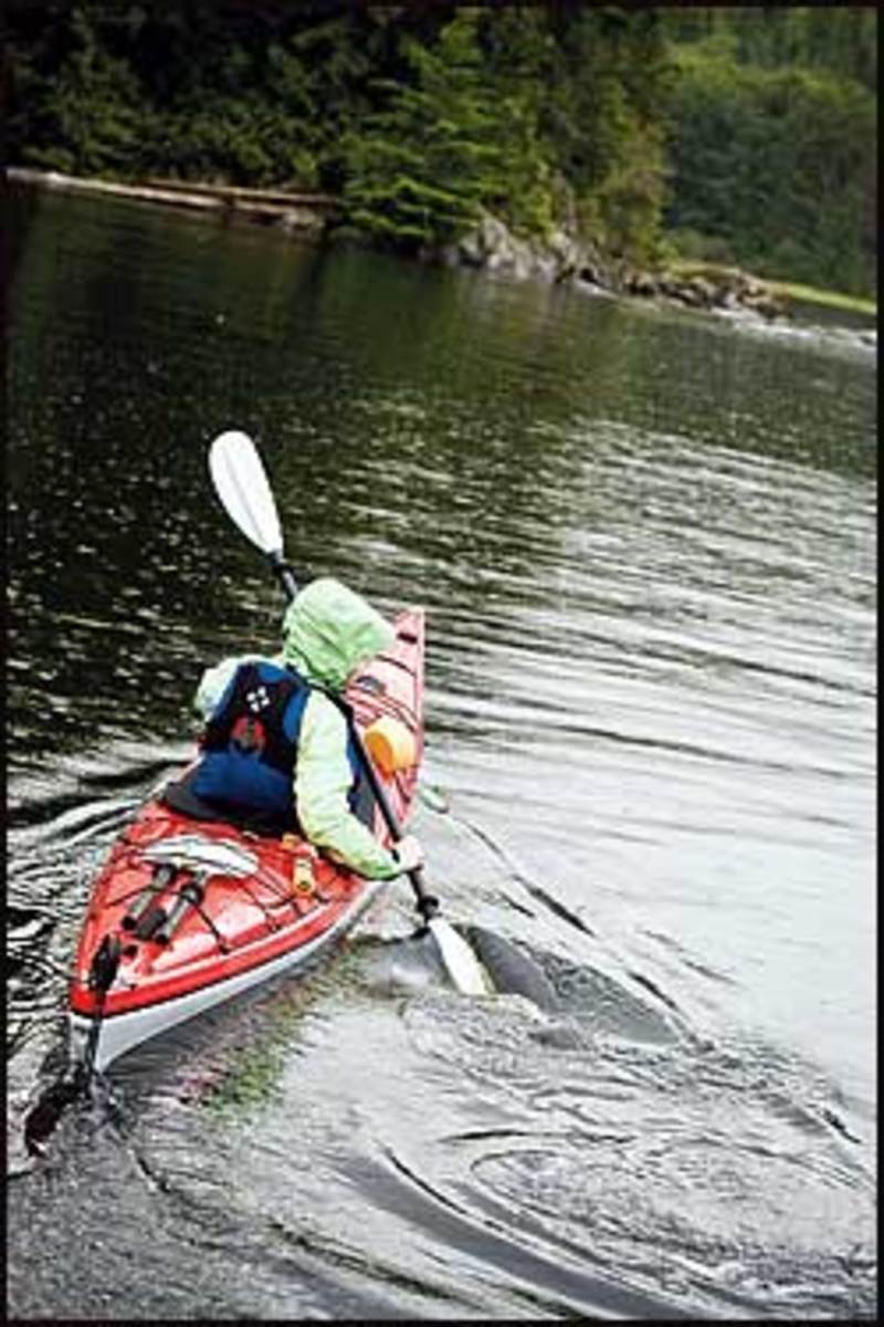 Negotiating NootkaKayaking British Columbia's Vancouver Island