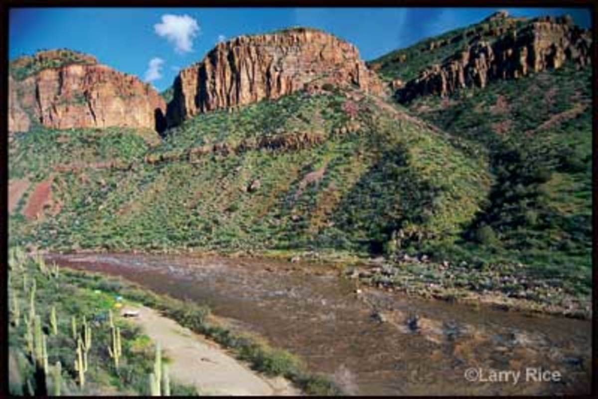 Salt River Rising