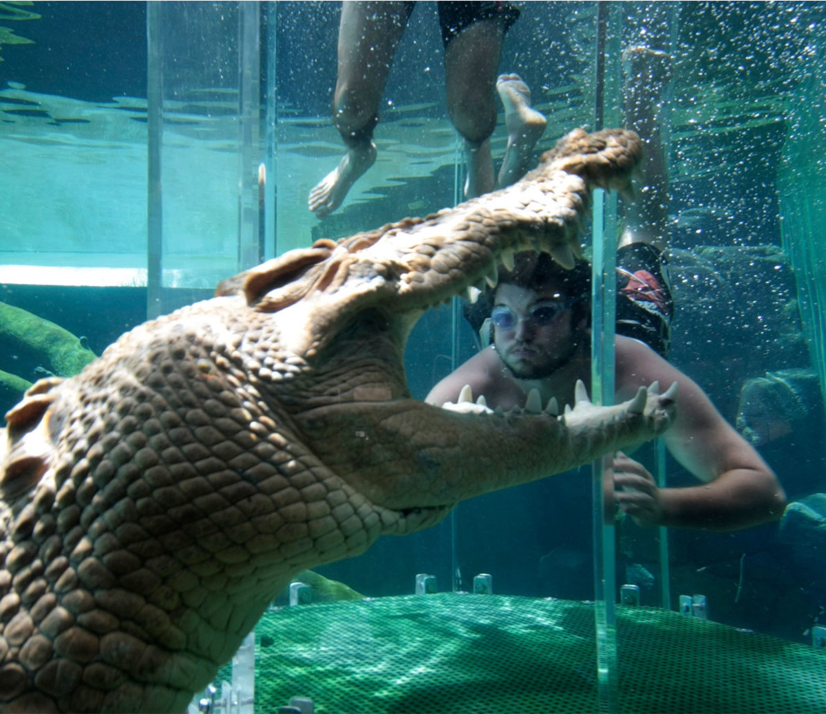 7 Extreme Adrenaline Adventures To Try