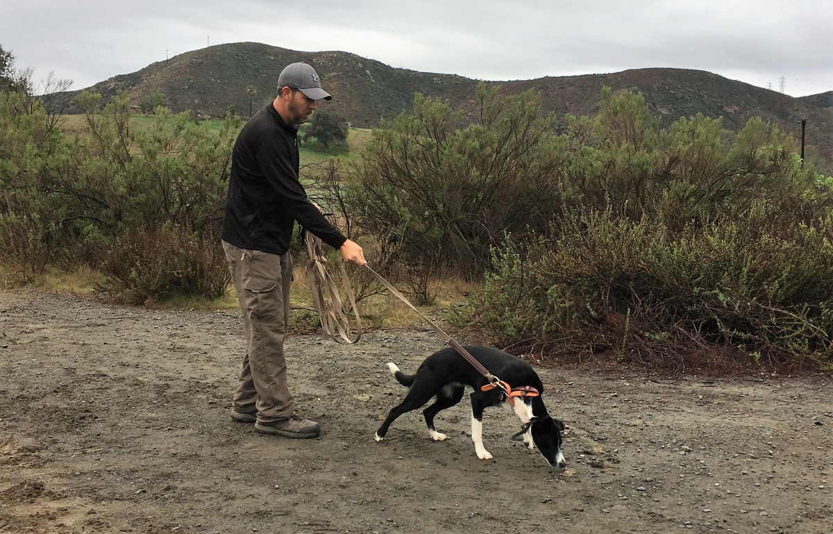 Tips to Keep Yourself (and Your Dog) Safe From Snakes While Hiking