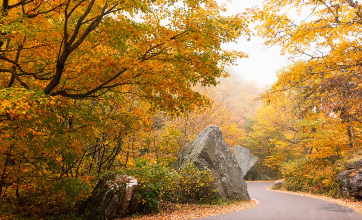 These are the best bike rides to take in the fall foliage