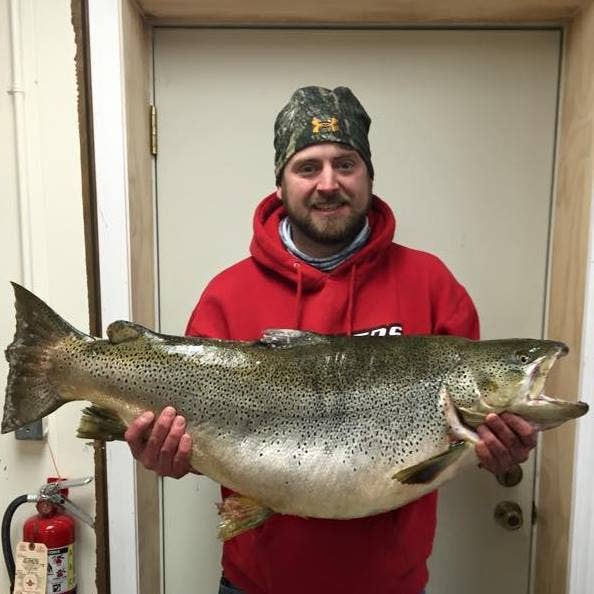 World Record Brown Trout Angler Lands Near World Record Brown Trout