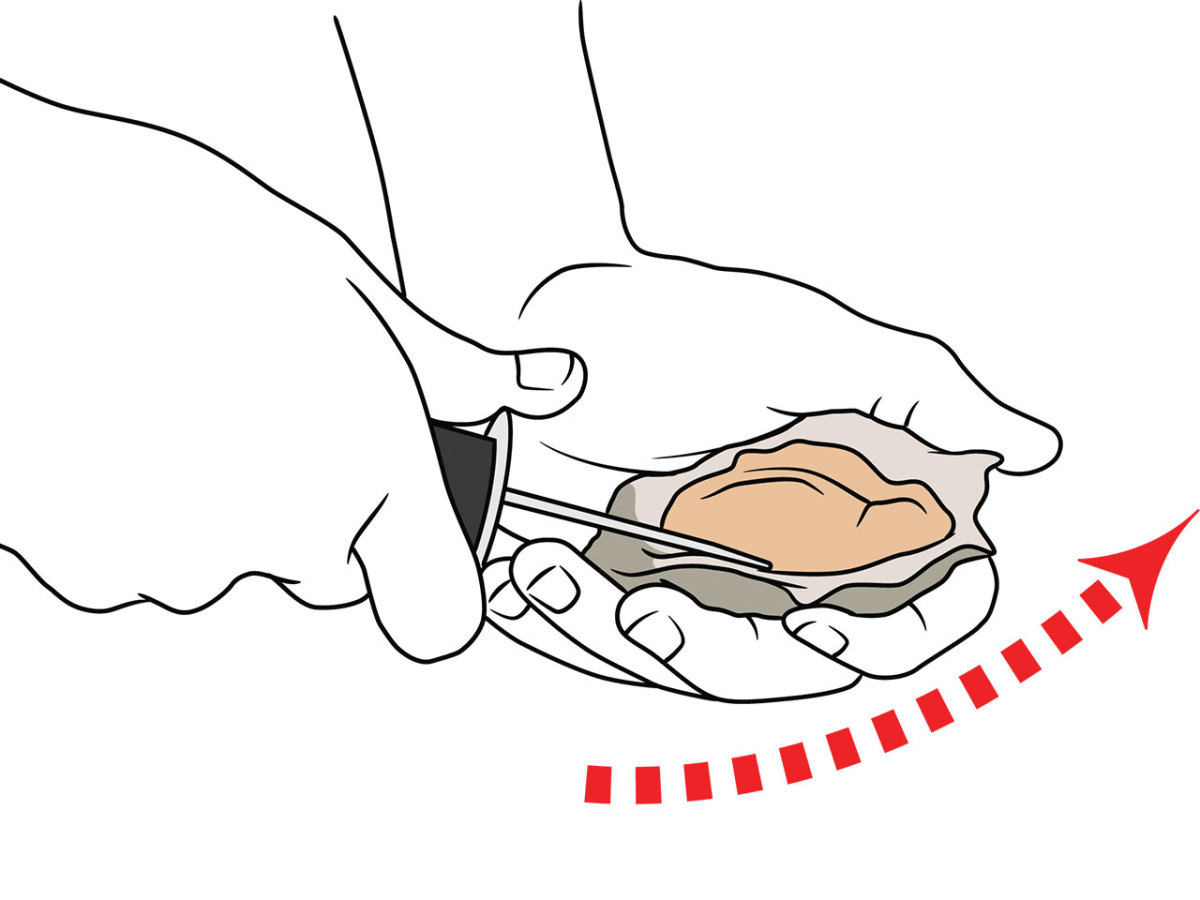 How to Shuck Oysters in 3 Simple Steps