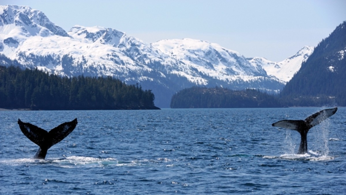 12 Epic Island Adventures