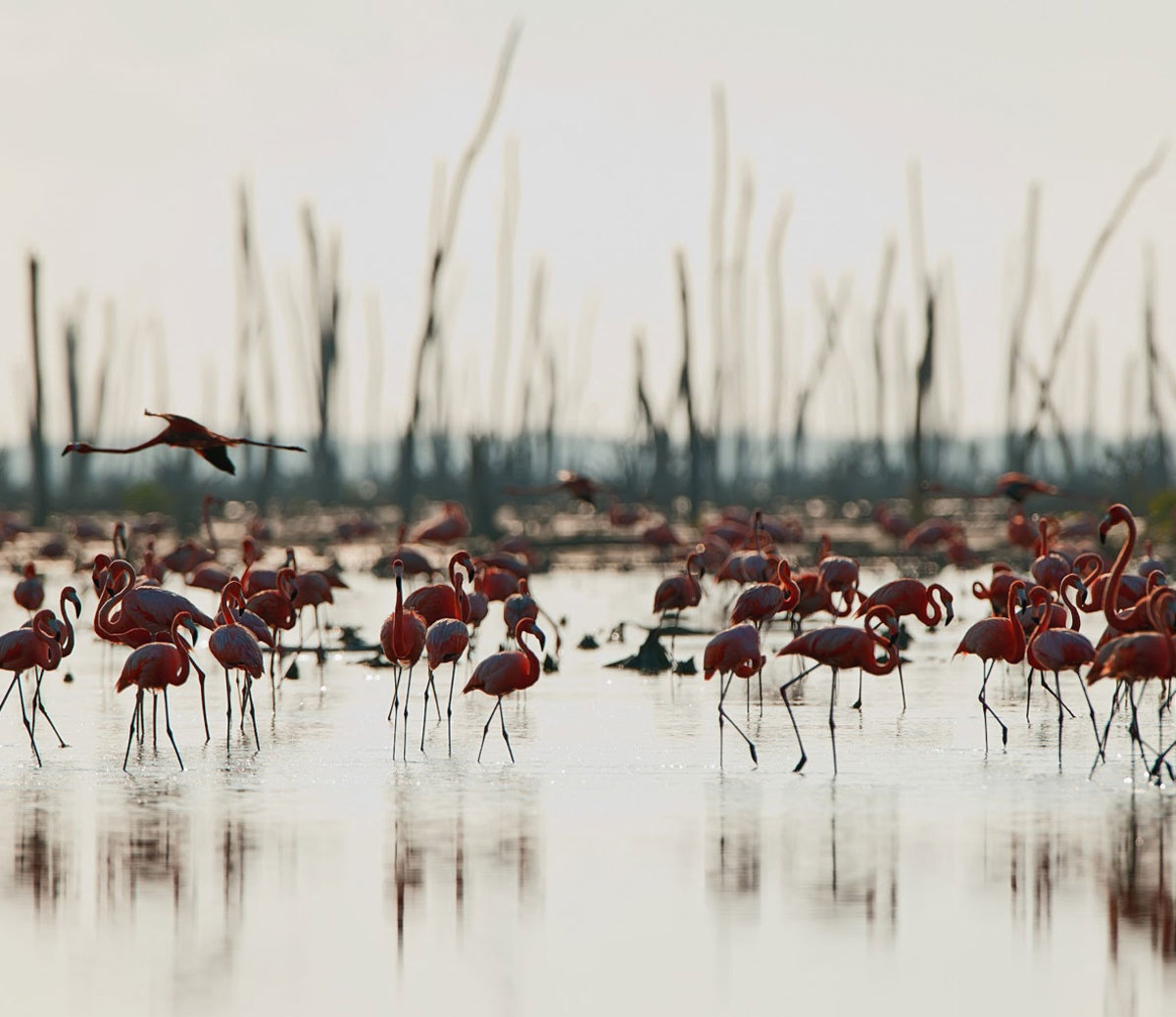 Cuban Travel: 5 Ways to Explore Cuba