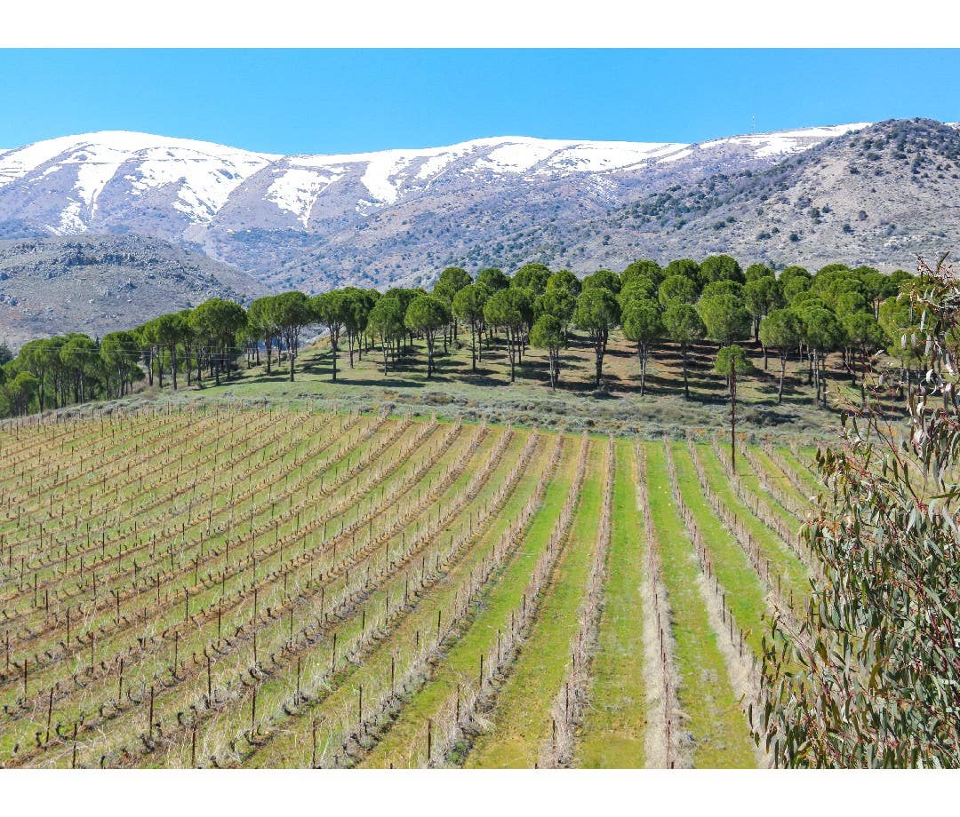 10 Wine Country Regions Better Than Napa | Men's Journal - Men's Journal