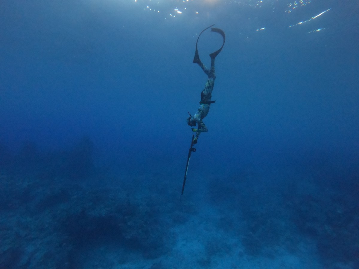 What’s Cooking: Why Pro Freesurfer Hank Gaskell Makes Sustainable Food ...