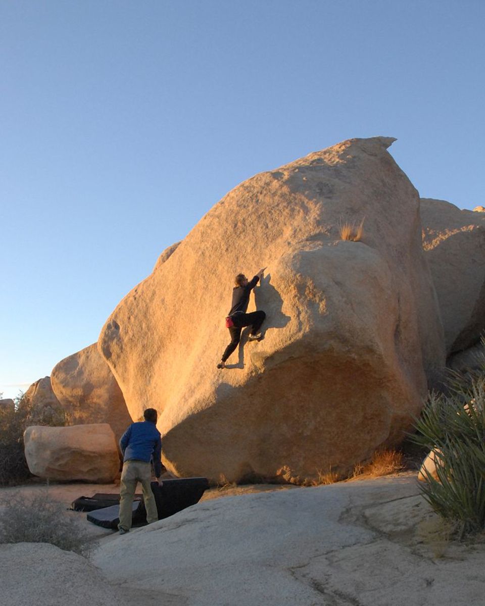 Why You Should Visit Joshua Tree National Park