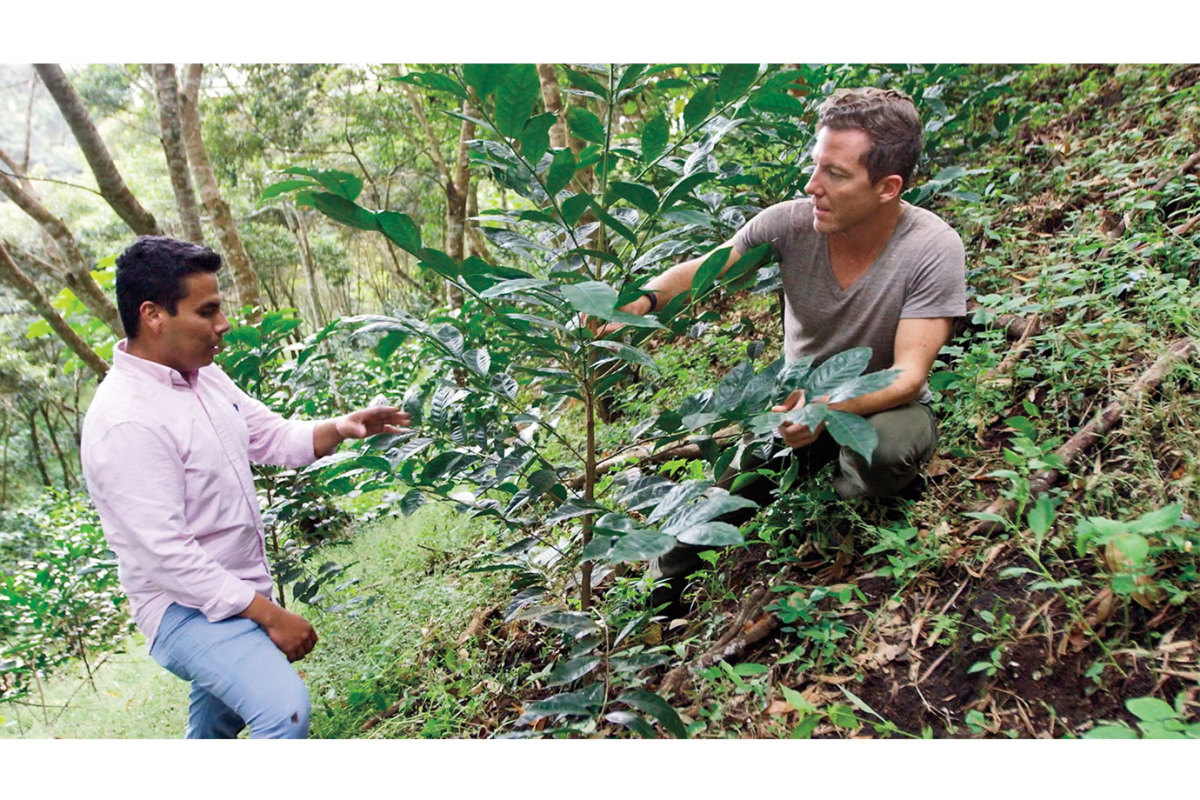 How Joseph Brodsky Finds and Sells the World's Best Coffee Beans