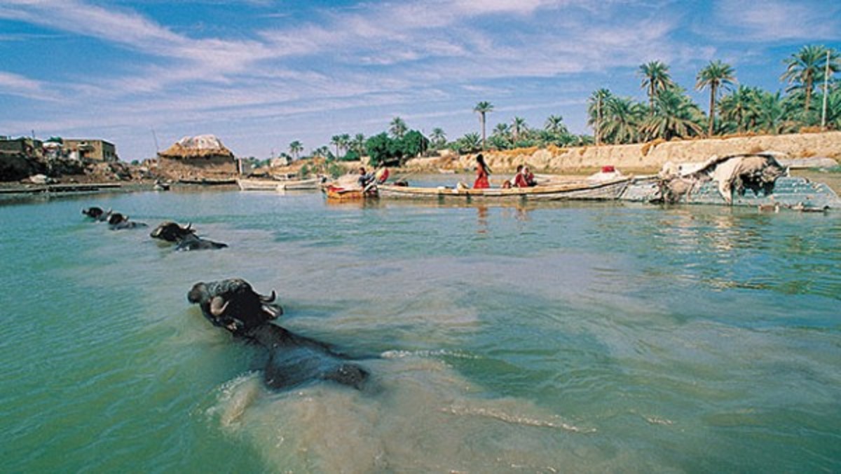 Iraq's Wildlife Defender - Men's Journal