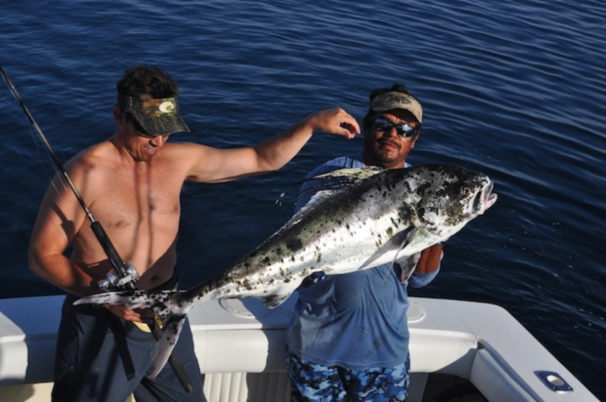 5 truly weird fish caught off Baja
