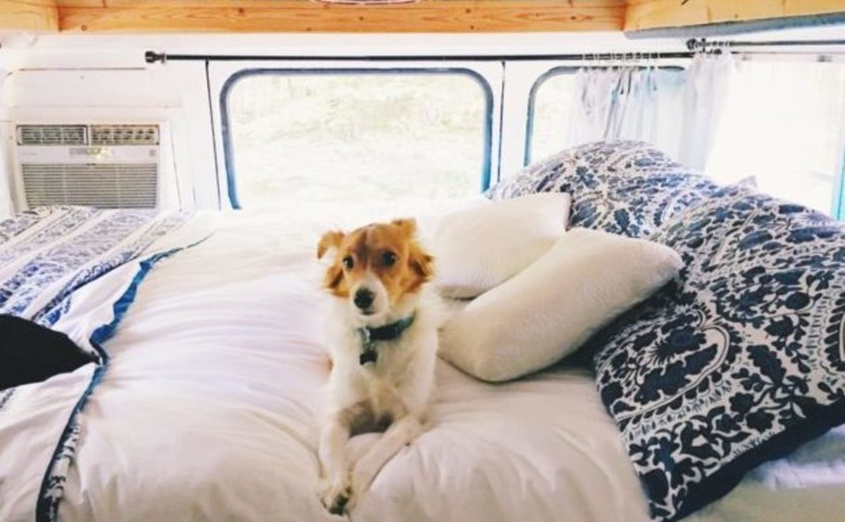 A ladies' guide to living the van life