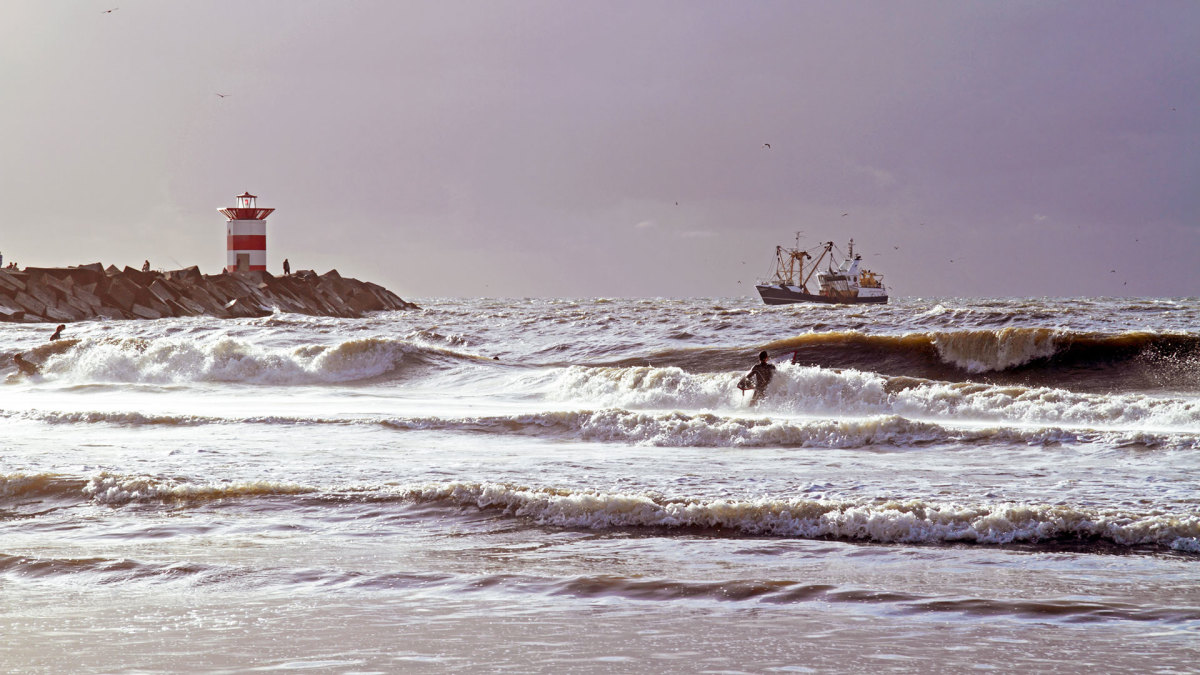 5 Surfers Drown Off the Coast of the Netherlands