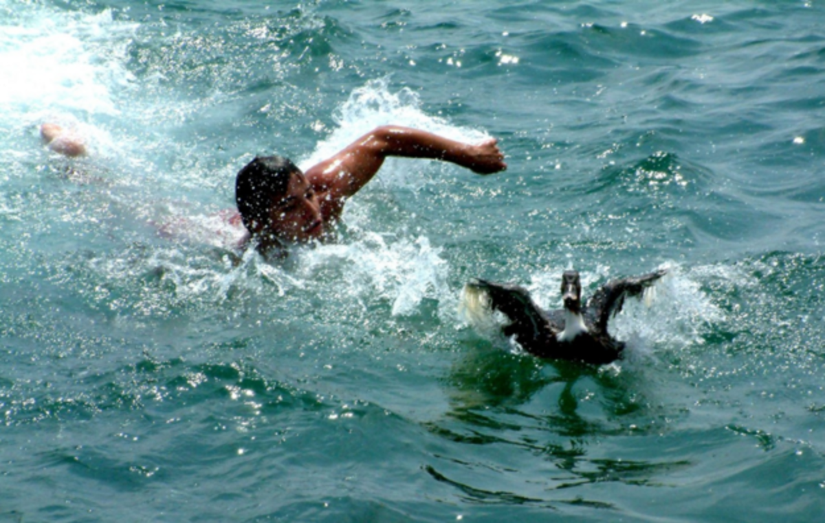 Bizarre duck-throwing festival banned in Spanish town after 97 years