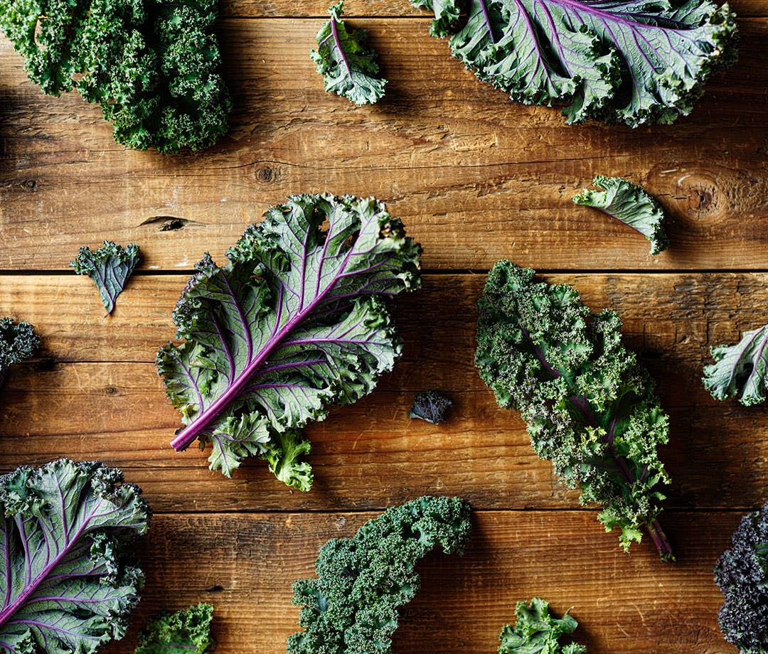 Fall Fruit: The 10 Most Nutritious Fall Fruits and Vegetables