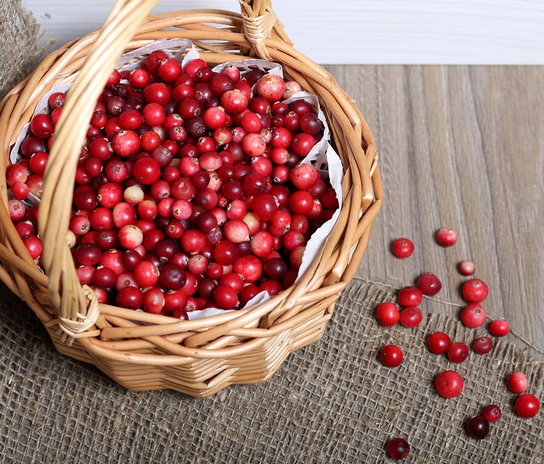 Fall Fruit: The 10 Most Nutritious Fall Fruits and Vegetables