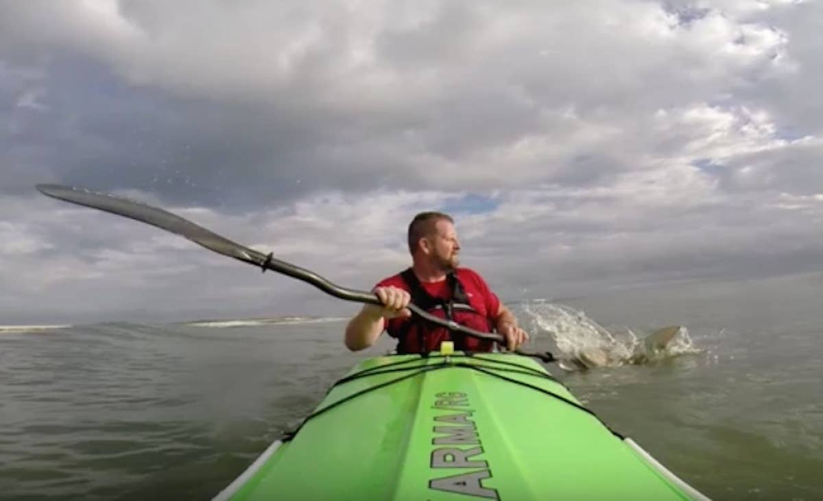 Shark pursues kayaker to beach in suspenseful encounter off Florida