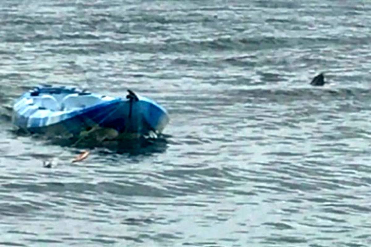 Great white shark knocks teen off kayak; ‘it was going to eat her’