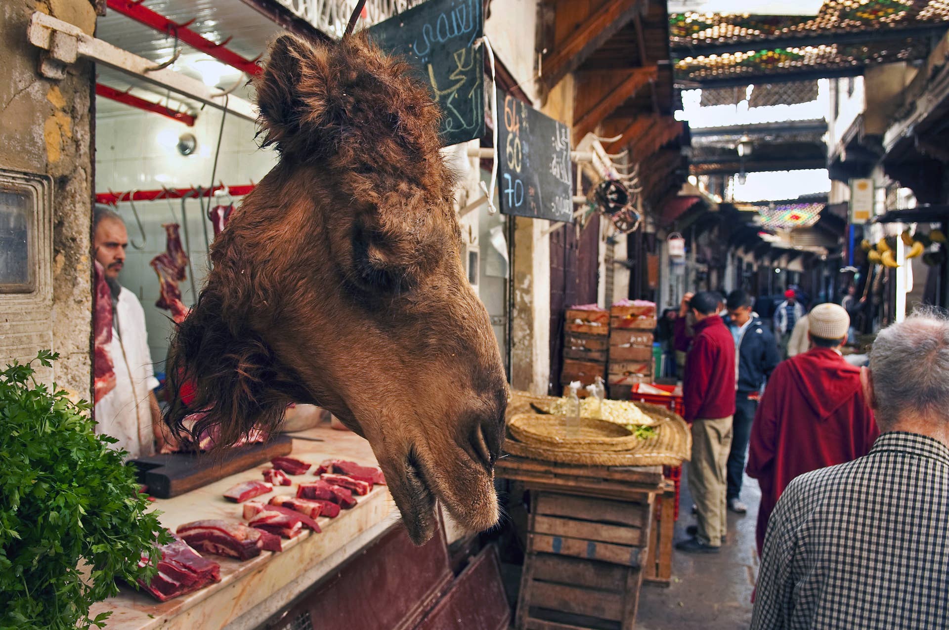 From Snake to Deer: 16 Meats You Shouldn't be Afraid to Eat