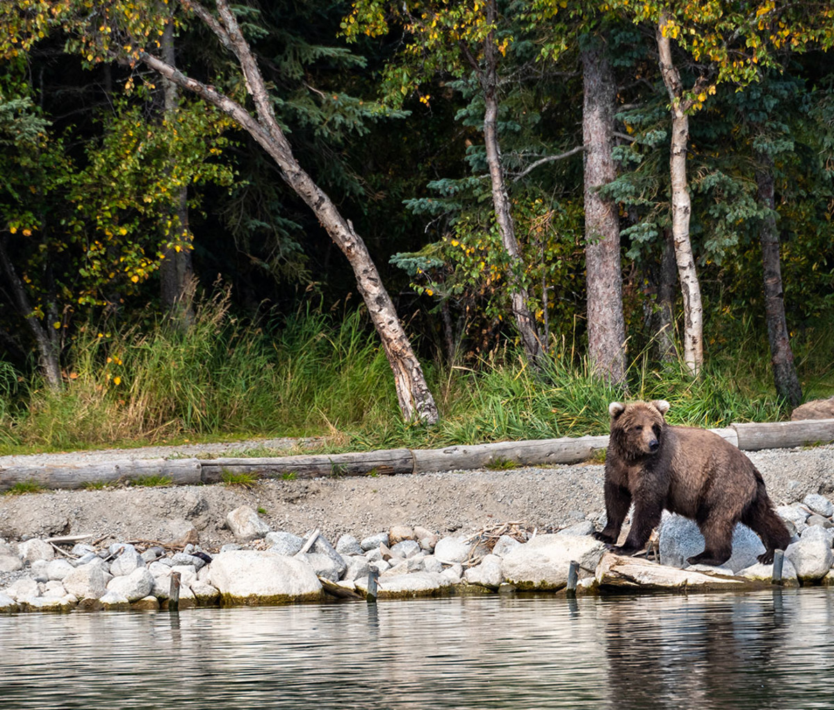 29 Explorers on the Best Places They've Ever Traveled