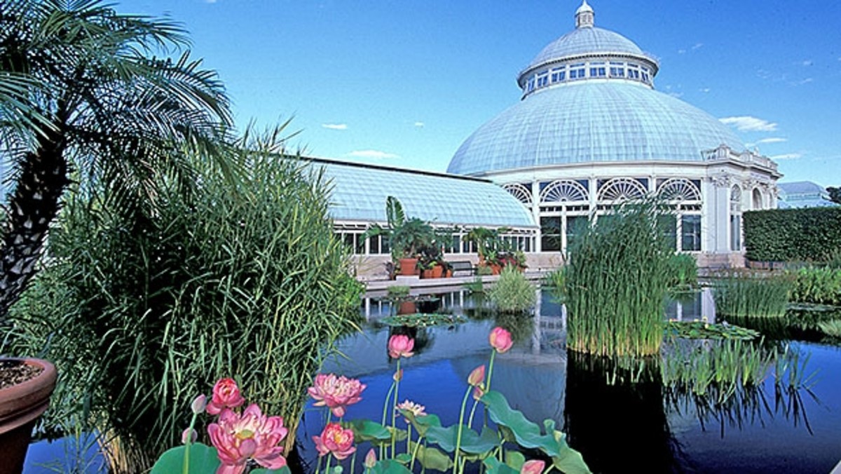 10 Must-See Botanical Gardens Around the World