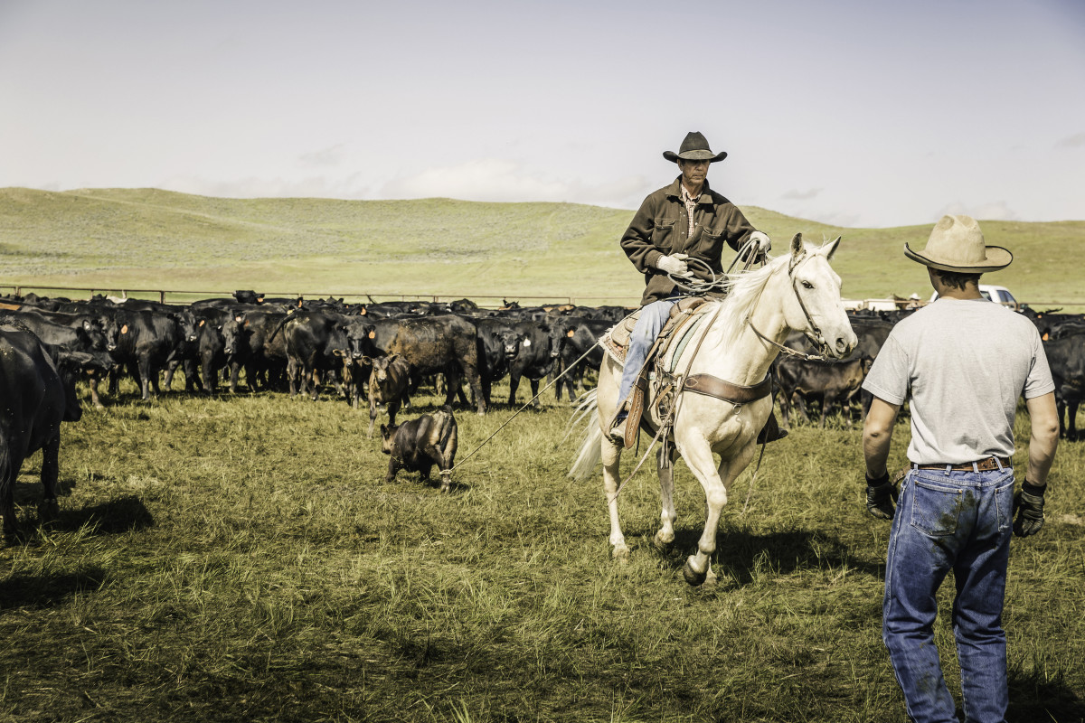 Gift the Gift of an Experience: 25 Trips They'll Never Forget