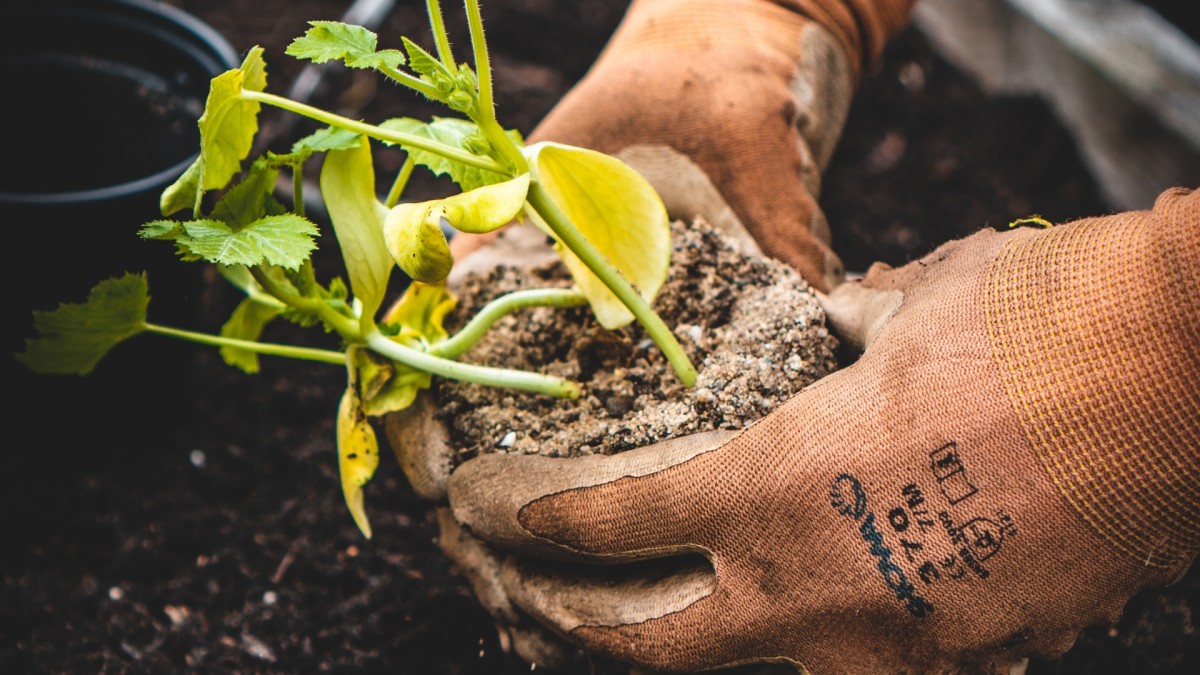 Earth Day Volunteering: 6 Ways to Get Involved This Year | Men's Journal