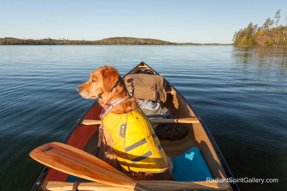 Dog Paddling: Dawn LaPointe and Daisy