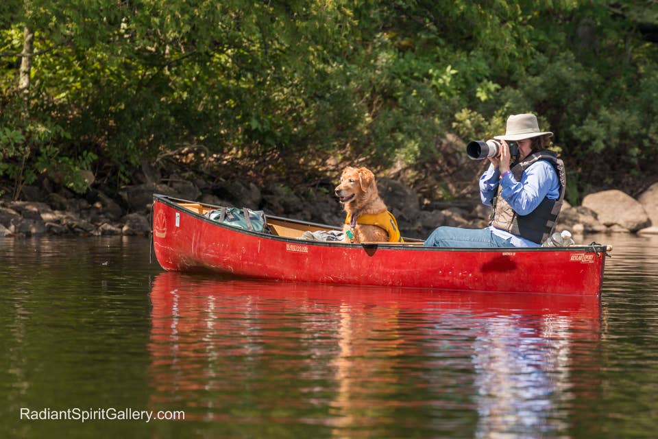 Dog Paddling: Dawn LaPointe and Daisy