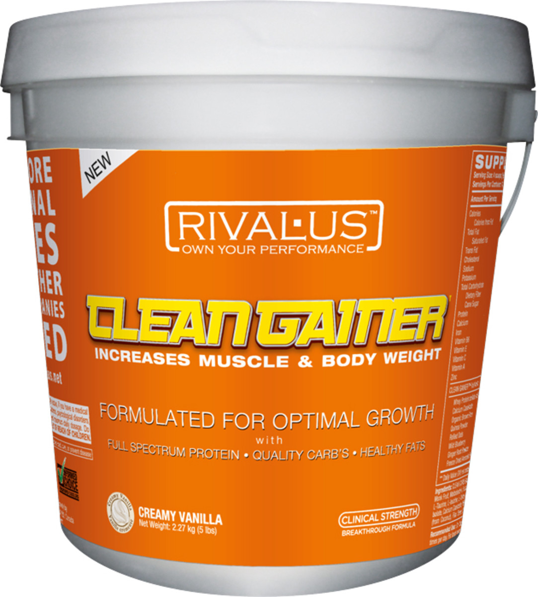 Your Guide to Purchasing Protein