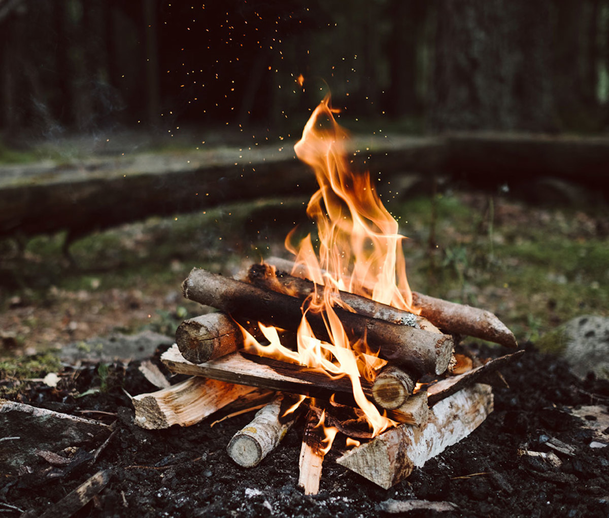 Camping Tips Every Beginner Needs for the Backcountry