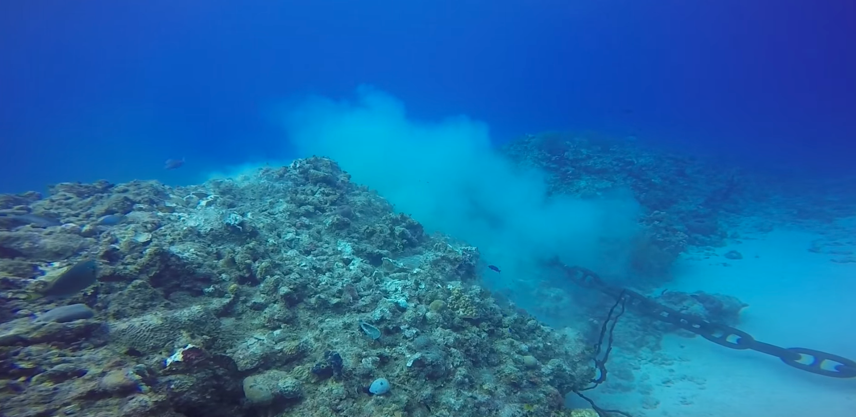 Video captures cruise ship destroying protected coral reef