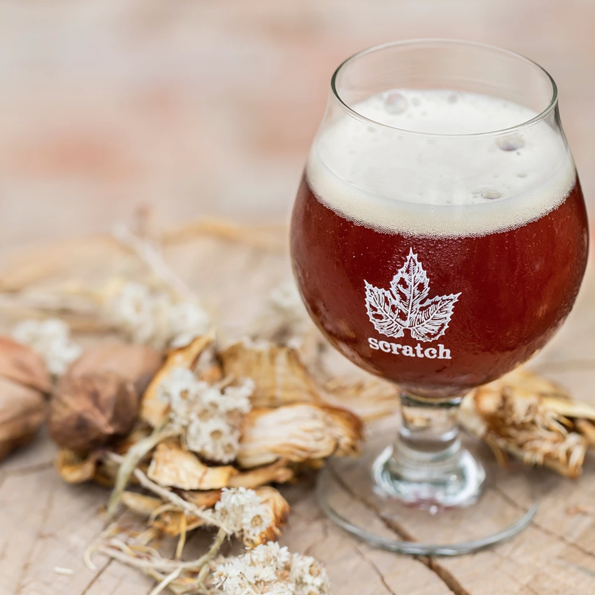 America's Coolest Microbrewery Is Scratch Brewing in Southwest Illinois