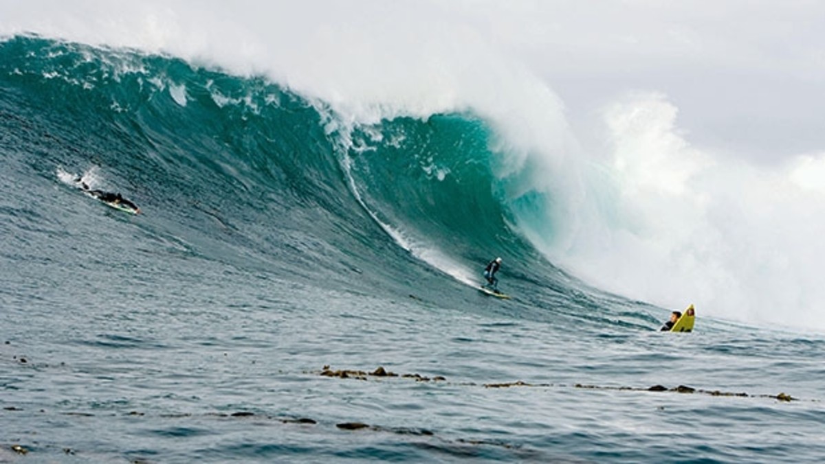 Beneath the Waves: A Deadly Surf Day at Ghost Tree