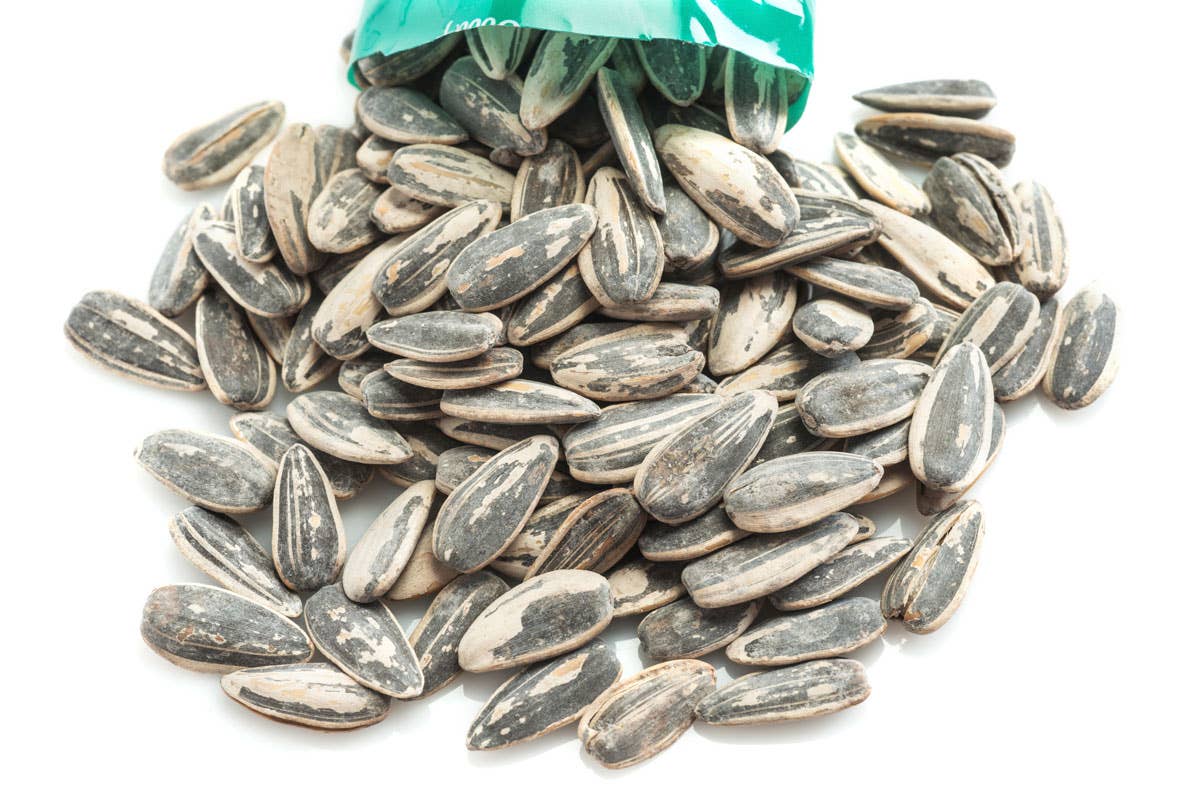 7 healthy foods that help fight skin damage from the sun
