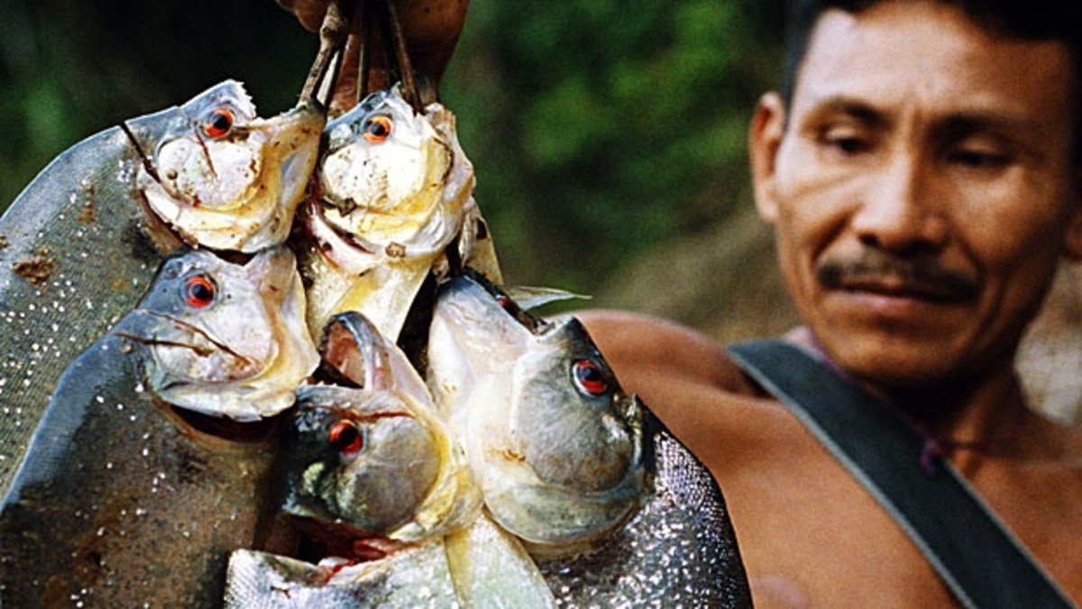 10 Forbidden Adventures