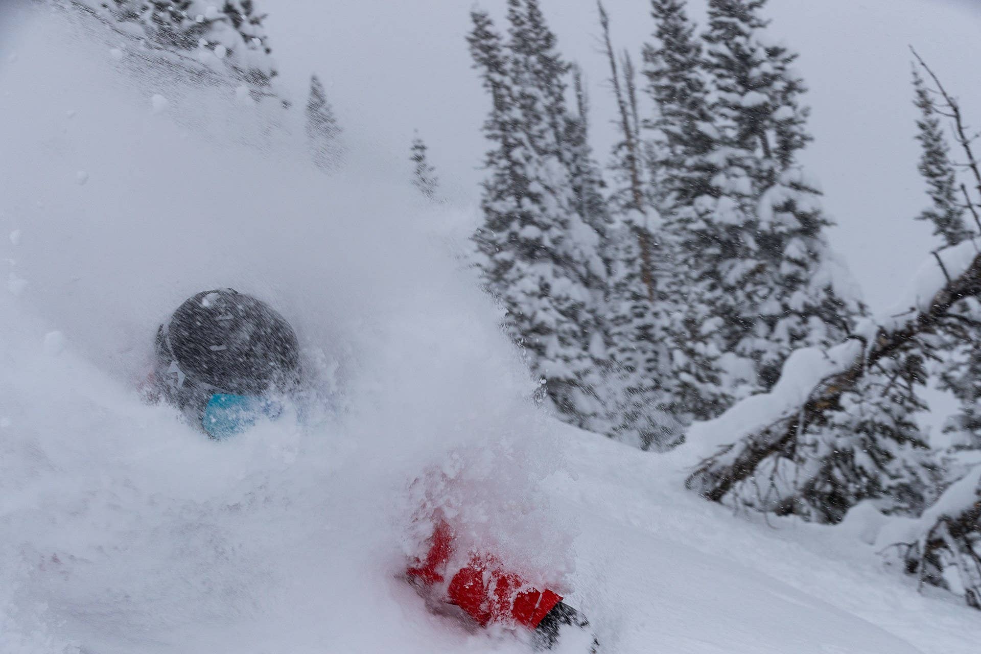 January Delivers Record-Breaking Snowfall in Jackson Hole