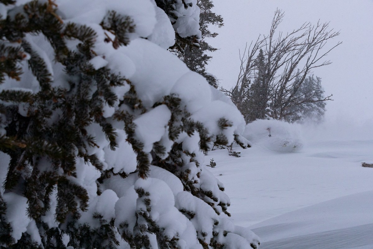 January Delivers Record-Breaking Snowfall in Jackson Hole