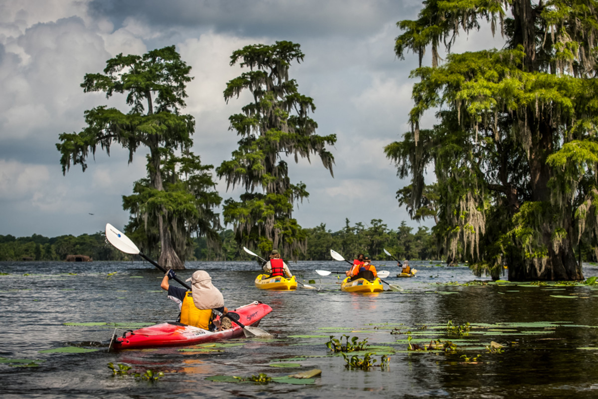 Louisiana's panoply of paddling adventures