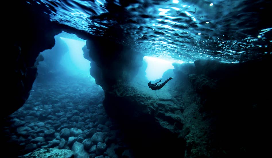 "Fishpeople" Review: A Love Letter to the Ocean
