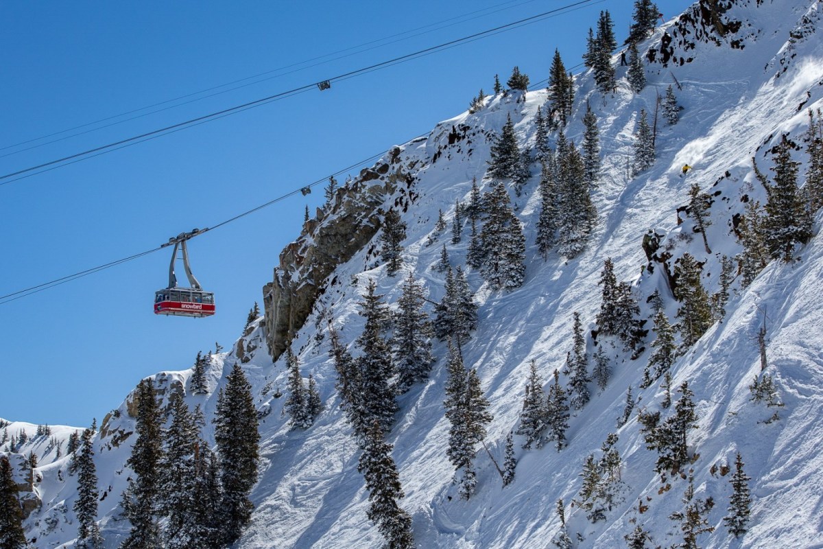 Snowbird’s Most Iconic Ski Run Is Right Under the Tram