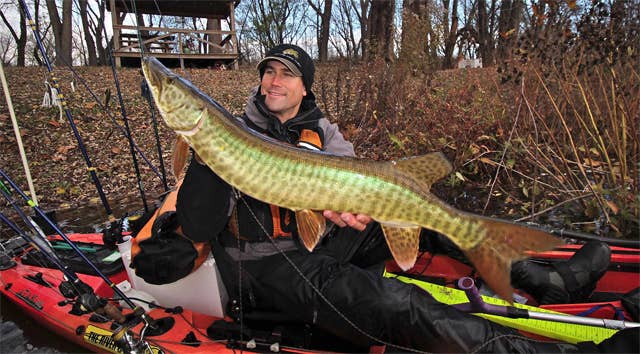 On the count of three it's musky time!