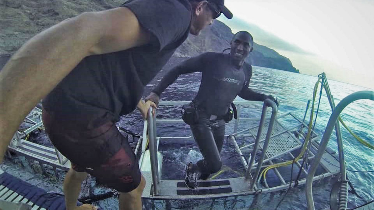 Newly Discovered 12-Foot Great White Shark Named After Kobe Bryant