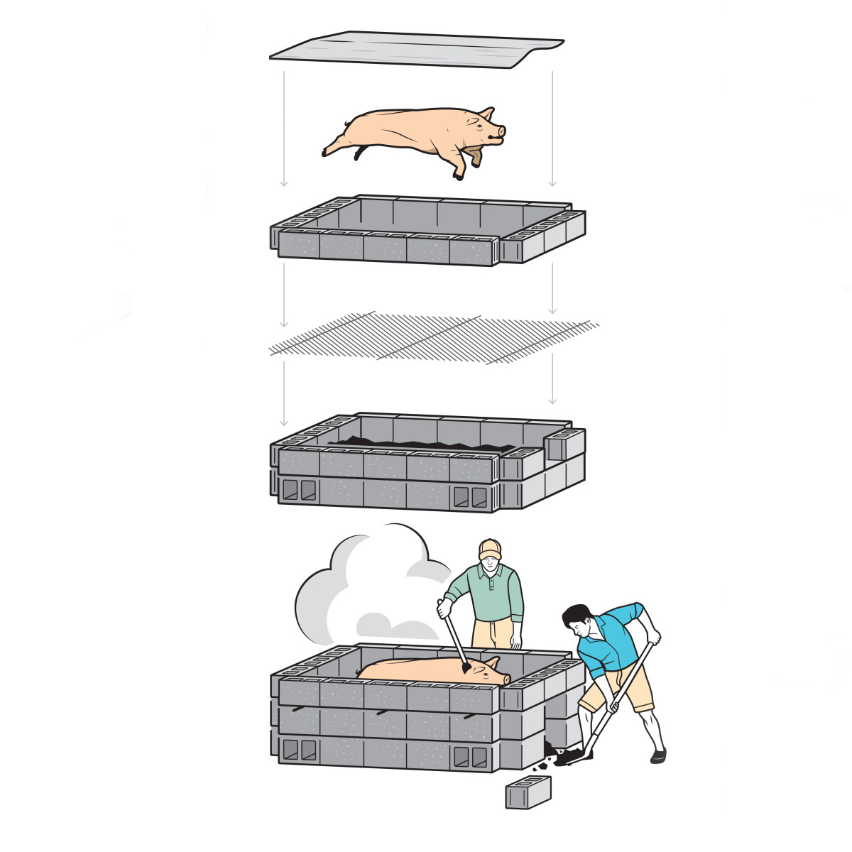 How Build A Pig Roasting Pit Pig Cooking Over Open Fire Hi Res Stock