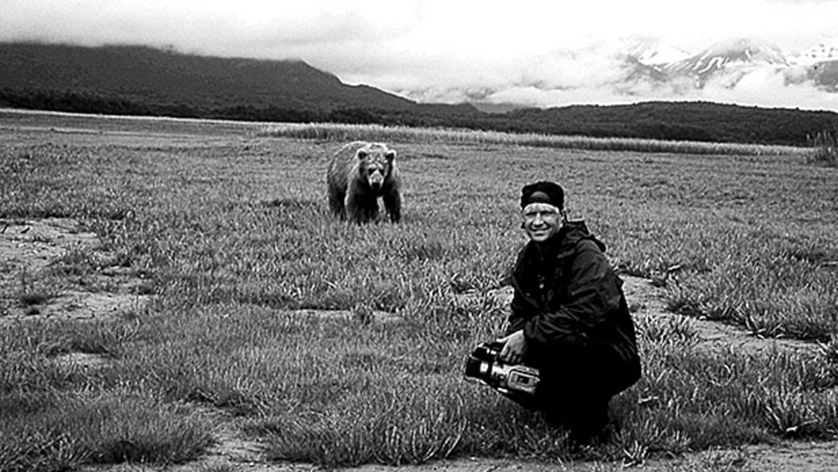 The 10 Best Bear Movies, Ranked by Realism