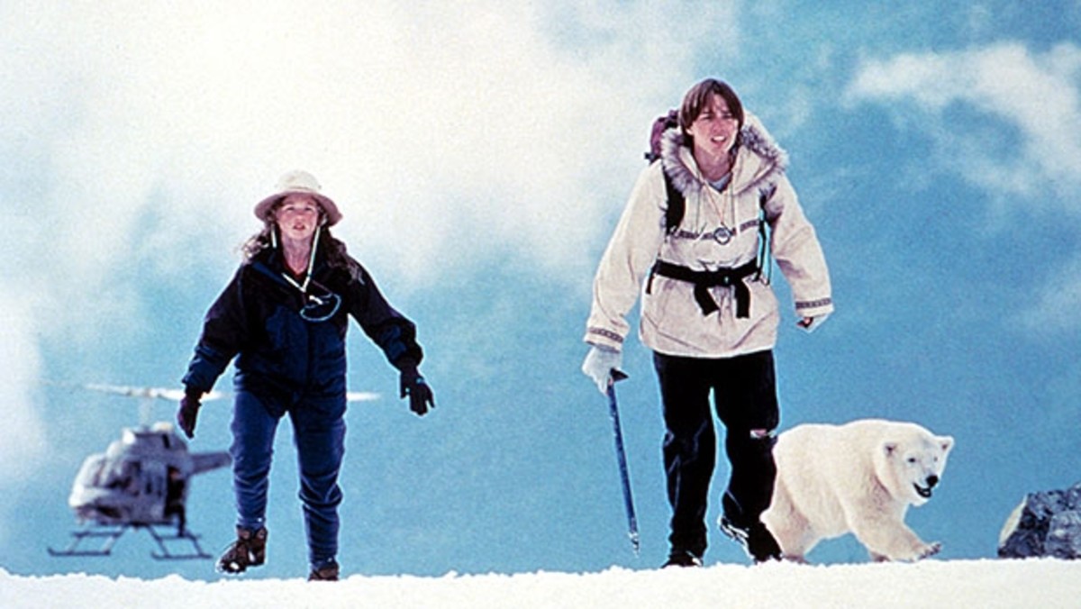 The 10 Best Bear Movies, Ranked by Realism