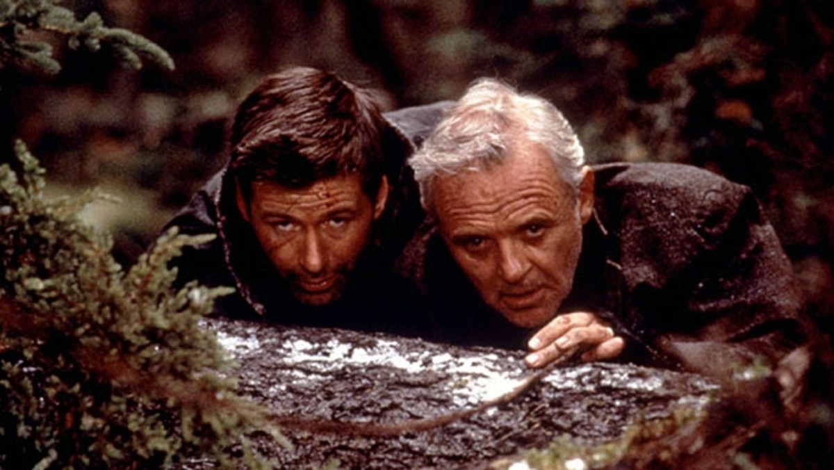 The 10 Best Bear Movies, Ranked by Realism